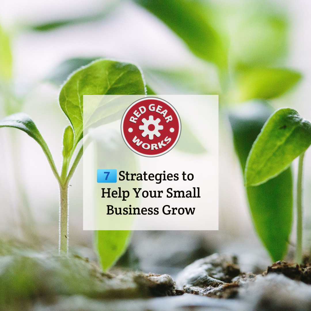 7 Strategies to Help Your Small Business Grow - Red Gear Works